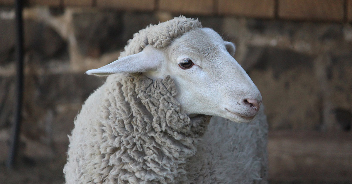 Escape with Interweave For a Life-Changing Experience | Interweave